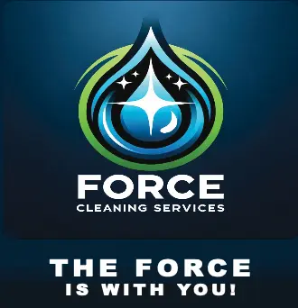 Force Cleaning Service